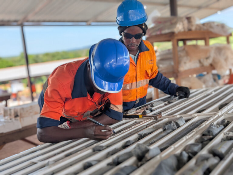 Who we are | Predictive Discovery