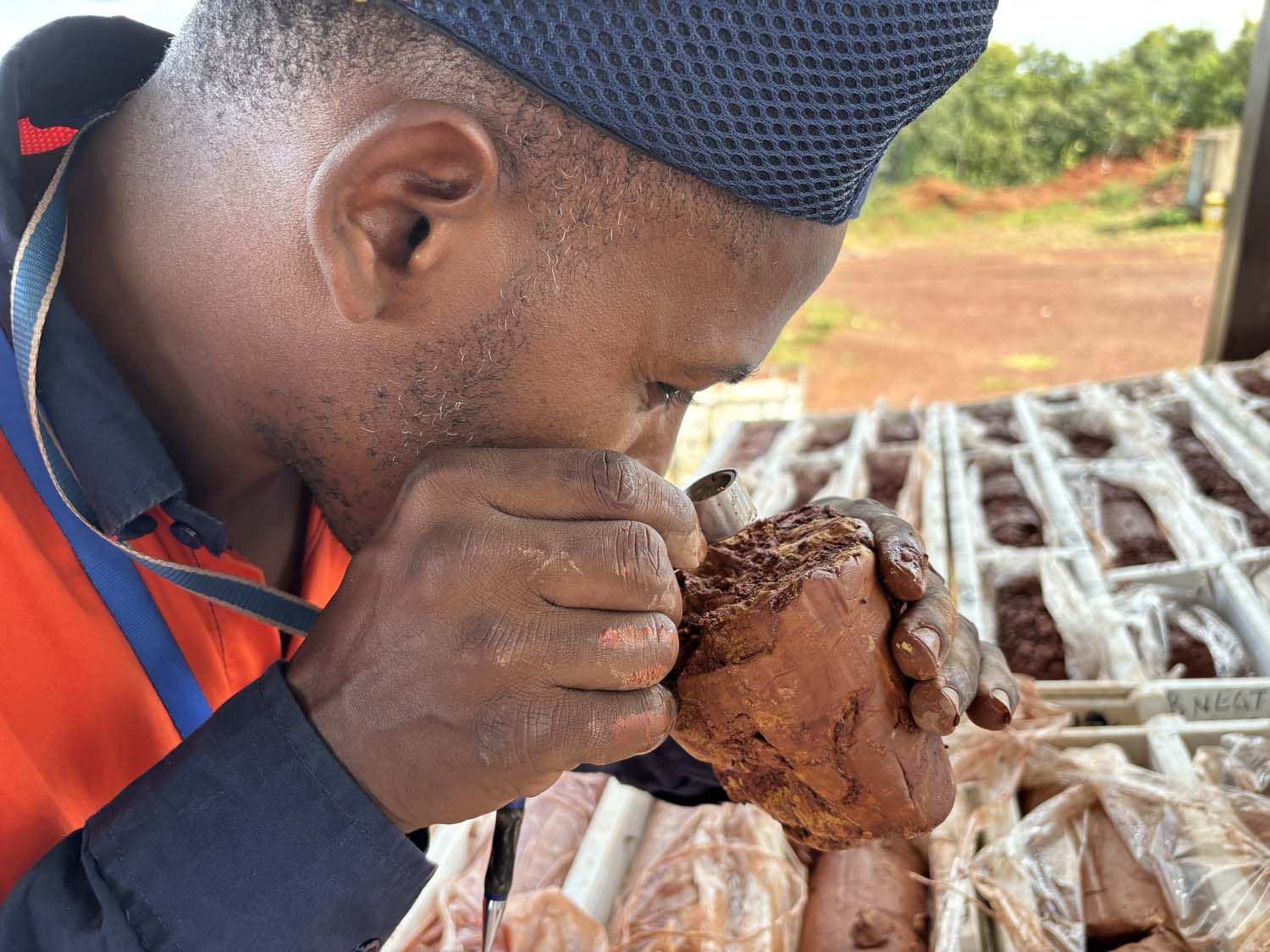 Assets | Predictive Discovery