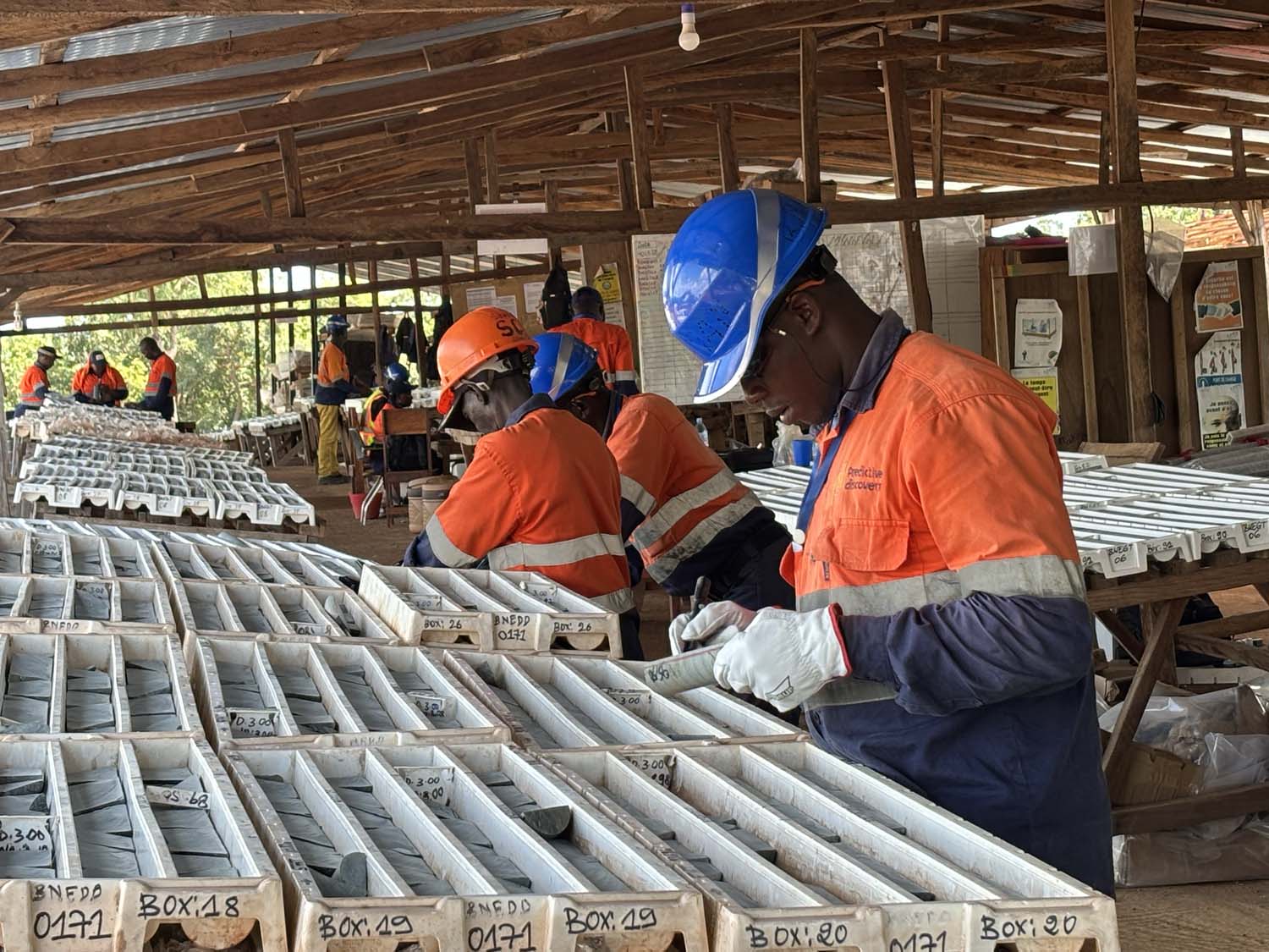 Assets | Predictive Discovery